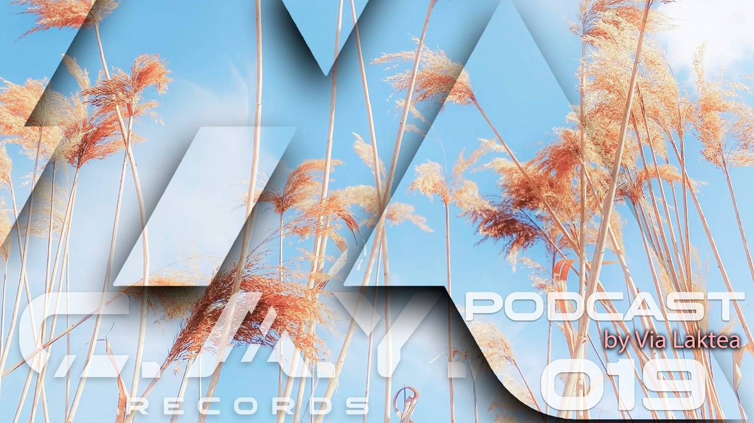 (019) C.A.Y. Records podcast by Via Laktea