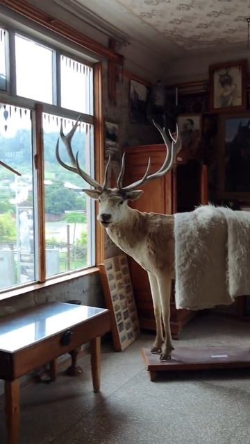 Дом-музей Хецуриани, всё сделано руками🙌