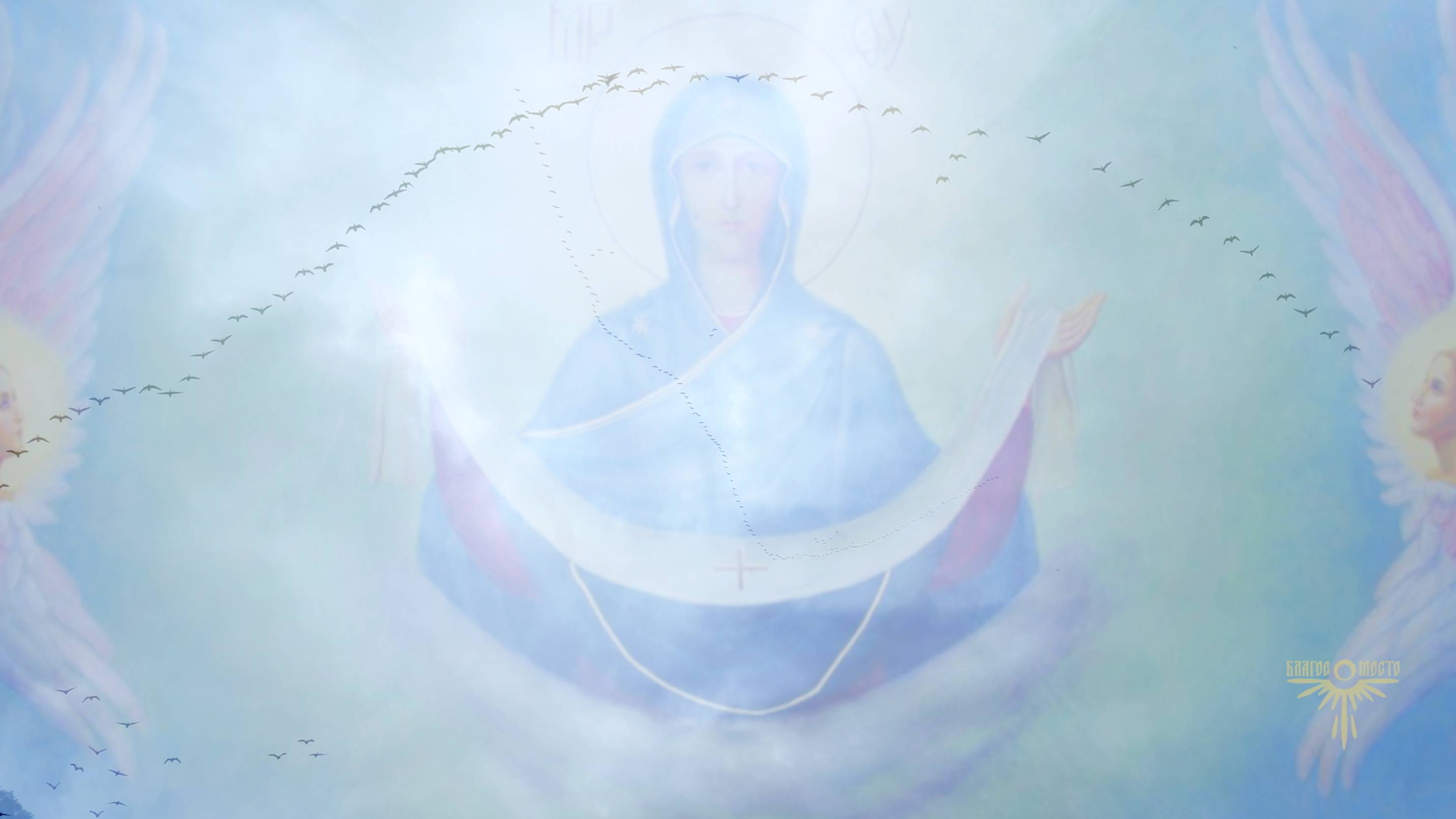 «Перелетные птицы на Покров Матери Божией» | Видео-зарисовка