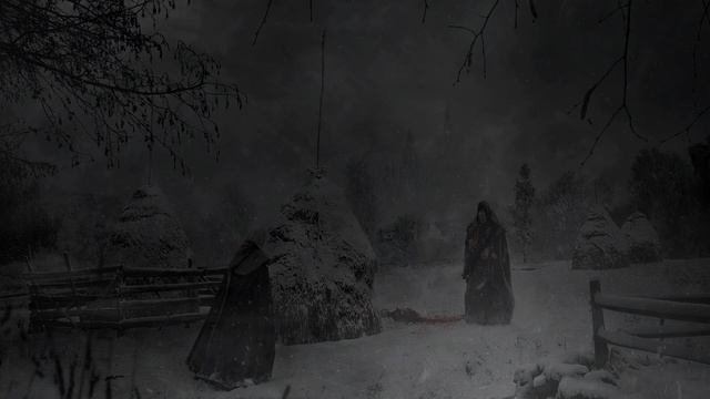 11 - What the Night Hides