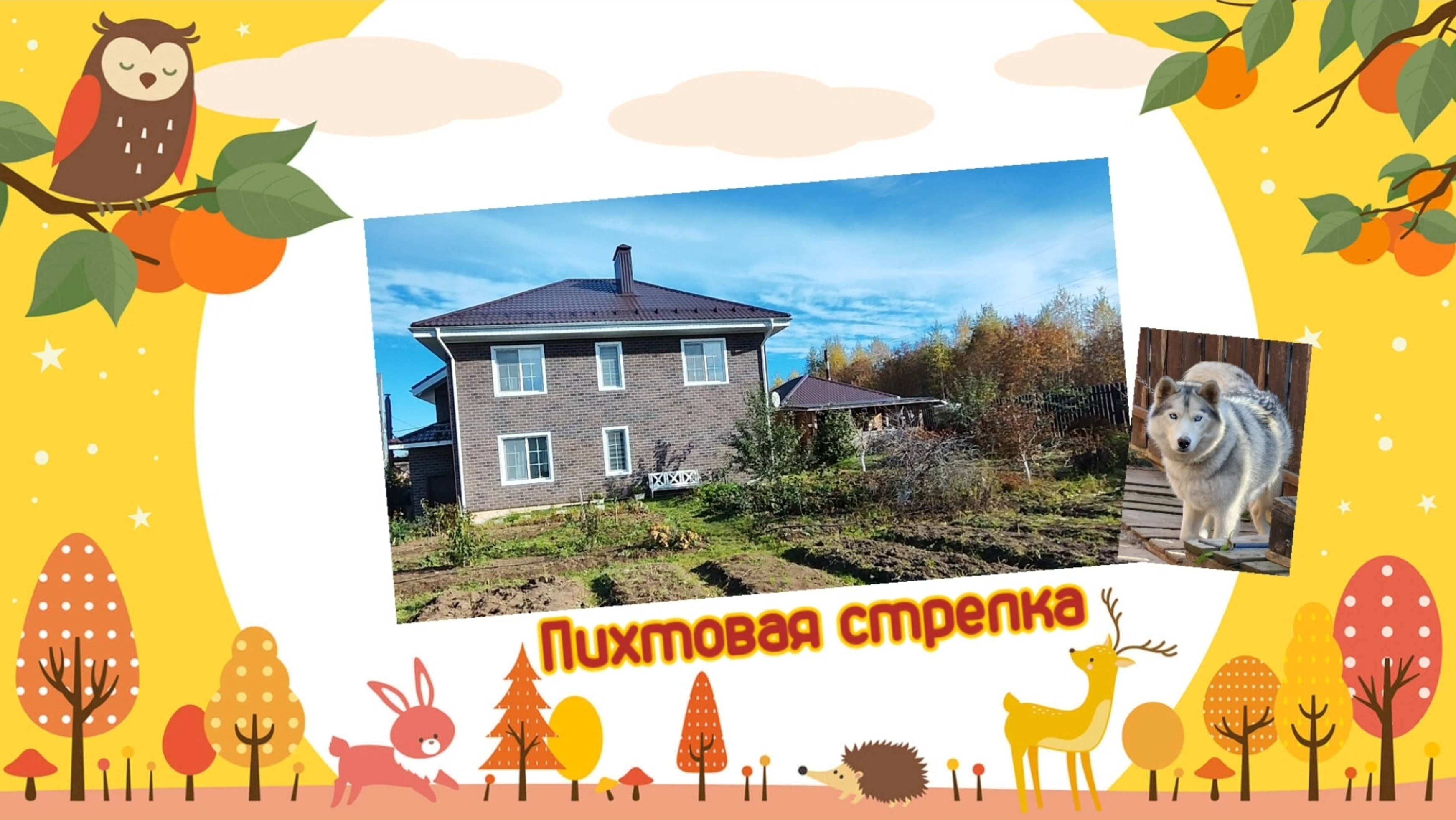 Пихтовая стрелка в Перми 6.10.2025 года.