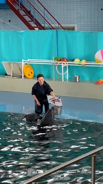 Карадагский дельфинарий: рисуют дельфины