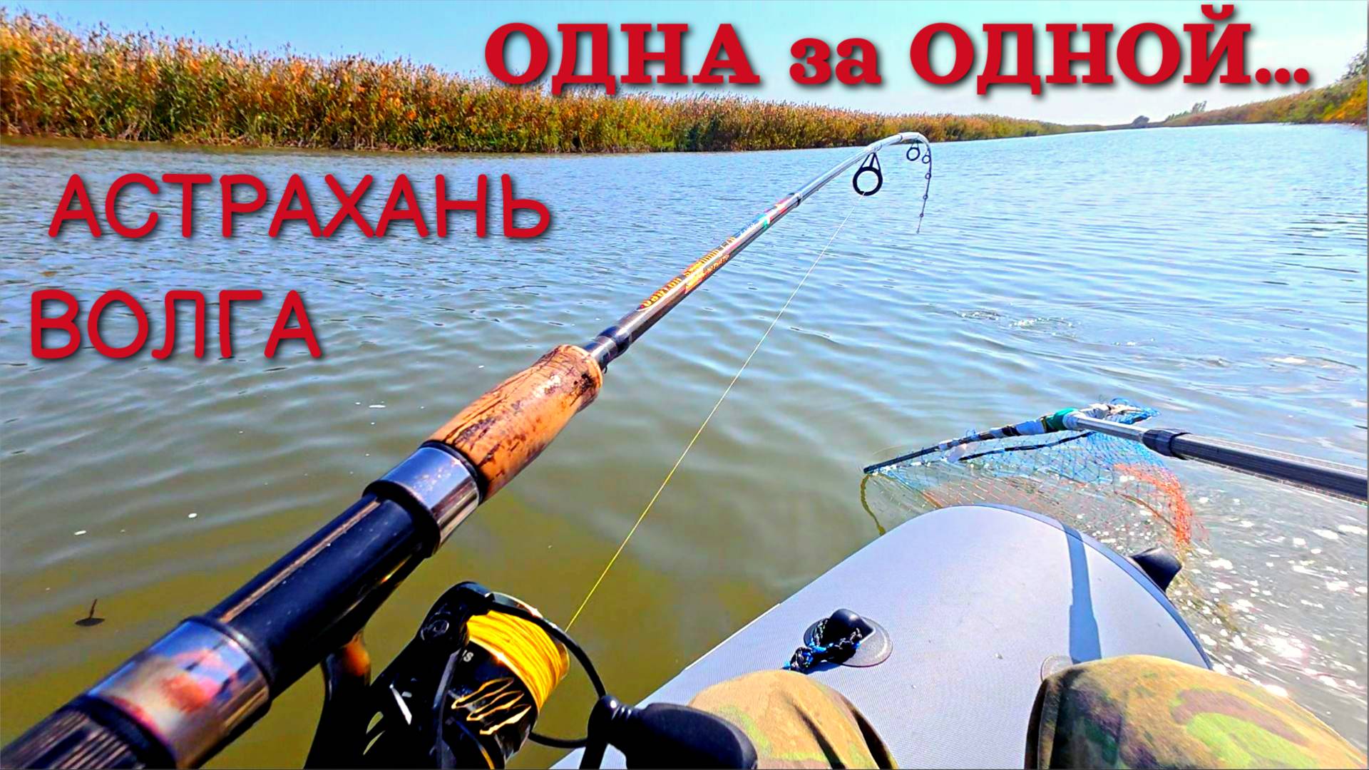 СИЛЬНЫЙ ХИЩНИК БЬЁТ ПРЯМО ПОД ЛОДКОЙ!!РЫБАЛКА НА РЕКЕ)ВИДЕО ЛОВЛЯ ЩУКИ,СУДАКА ОСЕНЬЮ!