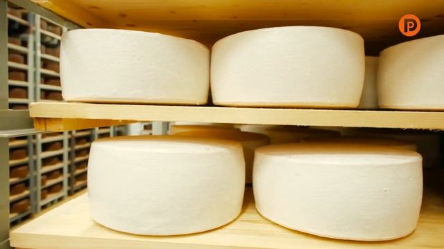 «ПроСЫР», часть 6. «Романовъ» - БОГОВАРОВО. Костромские сыроварни.