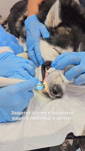 Аппаратная Чистка Зубов