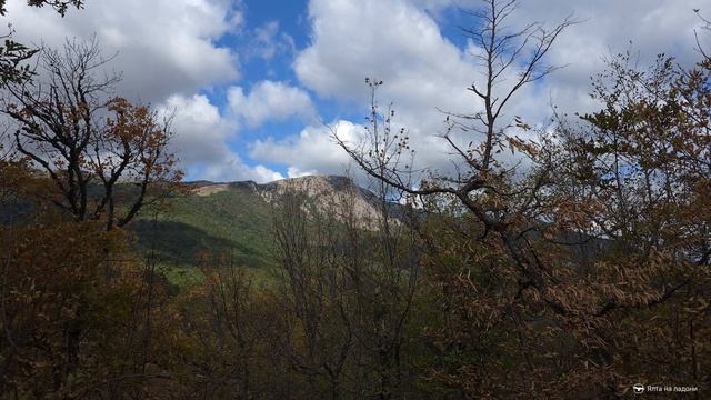 Парагильмен. Часть 6: взгляд назад — редколесье и первые виды на вершину Куш-кая