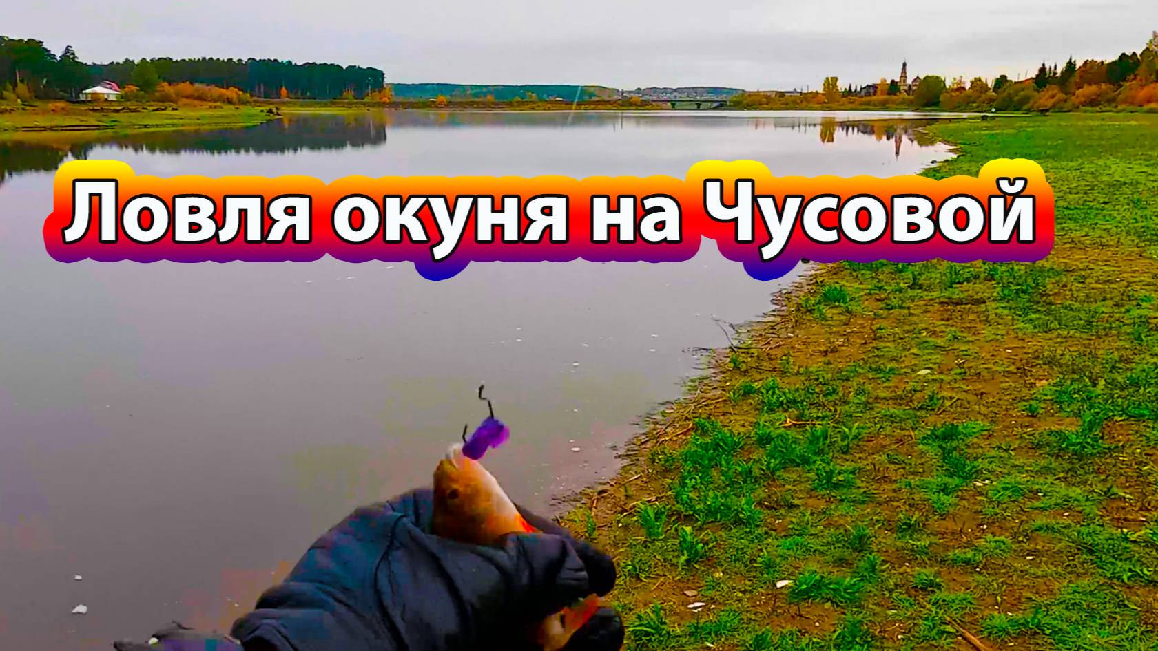 Ловля окуня на реке Чусовая в конце сентября