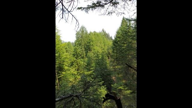 Поздняя любовь