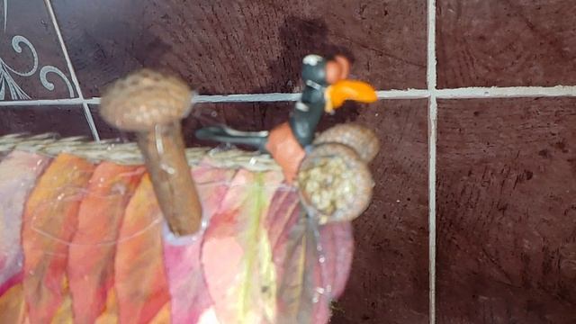 🍄🍂 Поехали за грибами, а получилась осенняя поделка! Домик на курьих ножках — DIY идея для школы