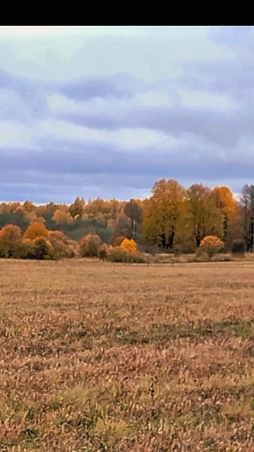 Не печалься о лете ушедшем..Сторонка Родная..