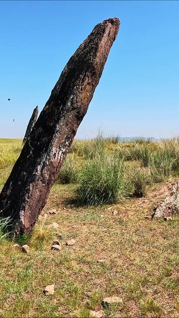 Полное видео здесь: https://rutube.ru/video/50c27807e71f7b60d7c58437bb7168b6/