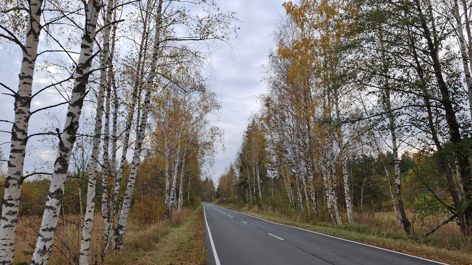 Дорога к дому