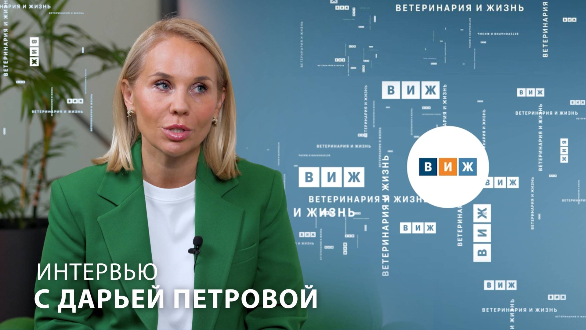 Эксперт рассказала, как защитить снежных барсов от исчезновения