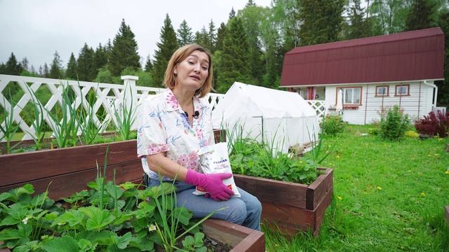 Сад мечты. Выпуск 19