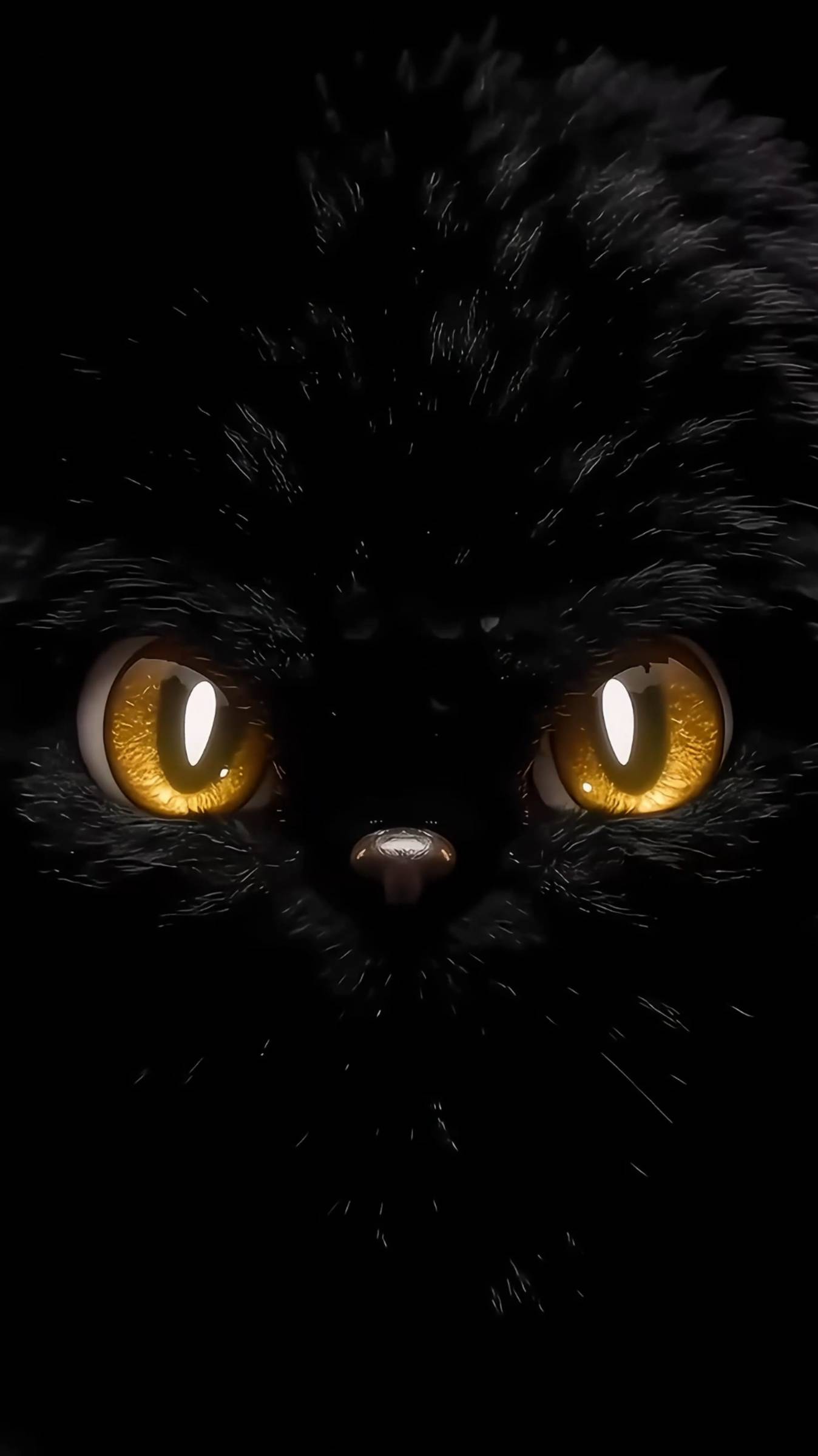 Ой, какие милые глазки, а он точно не кусается?#TECNO