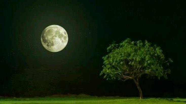 Любовь вековая моя - Н Жуков Л Кичигина Г. Погорельская Ангел - Online.Муз гр..