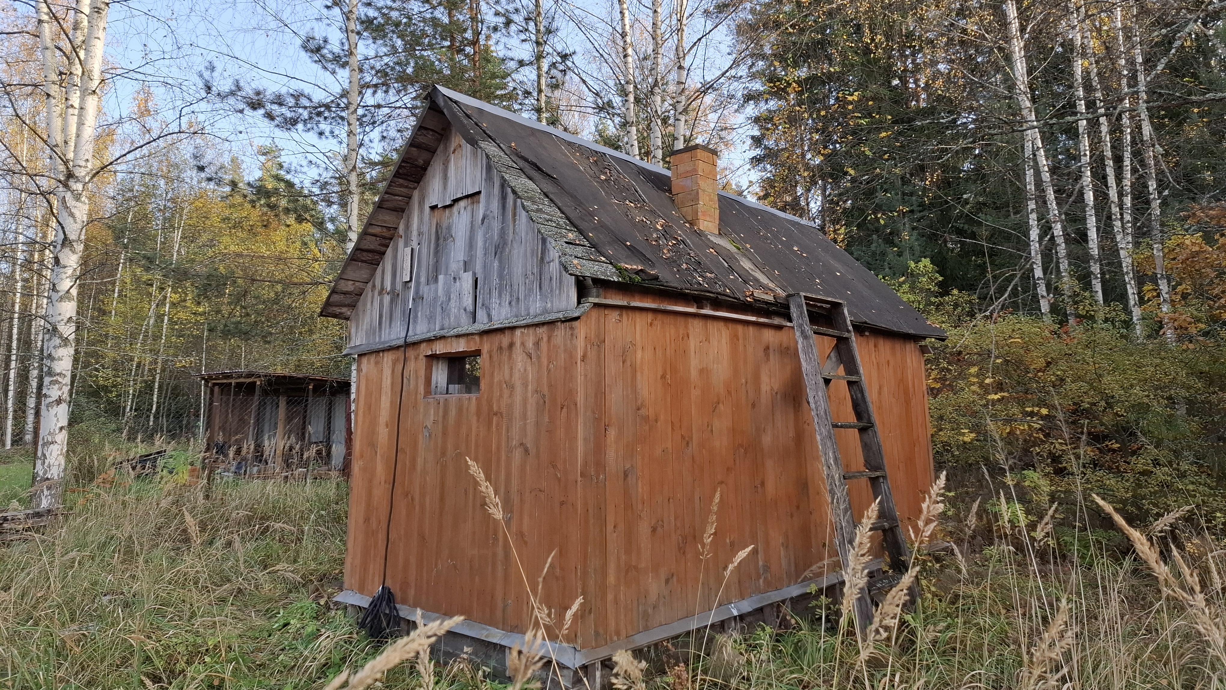 Общий осмотр бани, расположеной в лесной части участка.