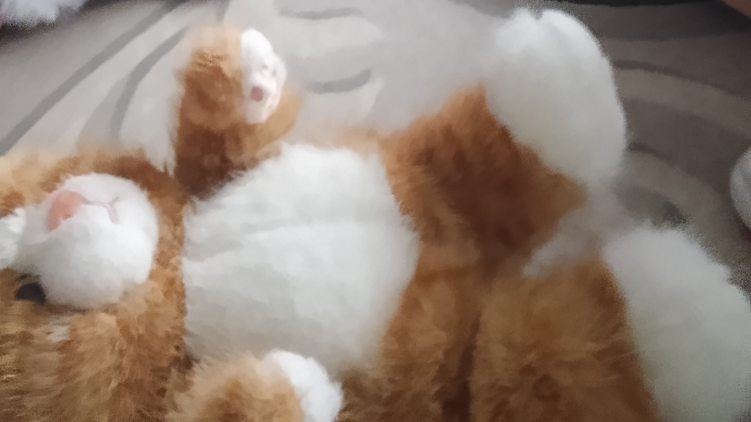 коты не на четыре лапы 2 серия странный танец