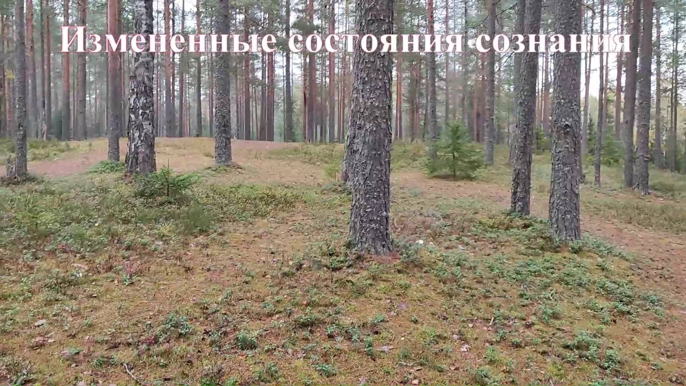 #_ИЗМЕНЕННЫЕ СОСТОЯНИЯ СОЗНАНИЯ_2025.10.09_Беседы у костра с Игорем Угаровым