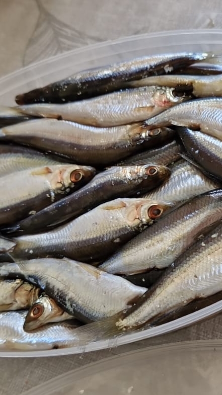 Тугунок с молодой картошкой. Маленькая рыбка, доставляющая  большое удовольствие. #тугунок #shorts