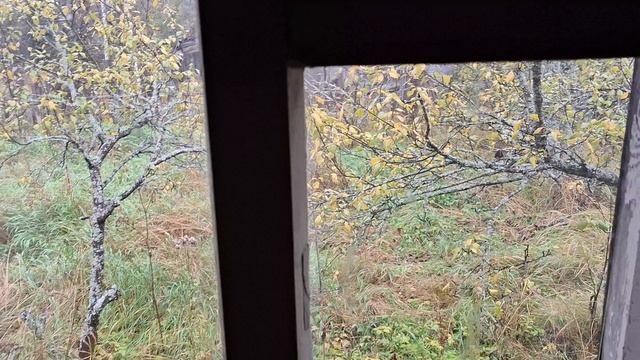 Общий видеоосмотр комнаты с русской печью