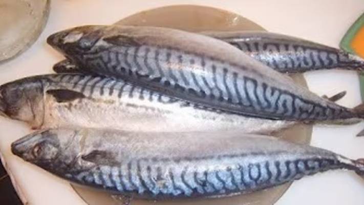 Скумбрия. Маринкины творинки. Всем МИРА и Добра!