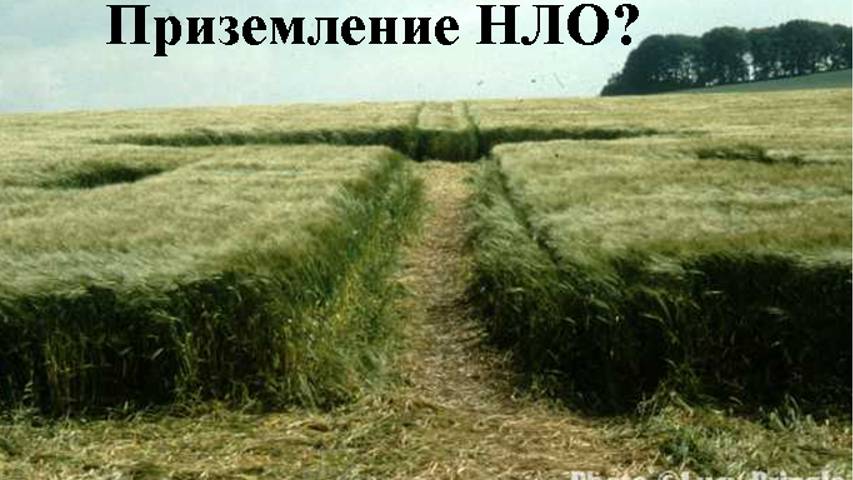 НЛО сделал круги? Эйвбери Траслоу, Уилтшир, 9.06.1991г.! 5