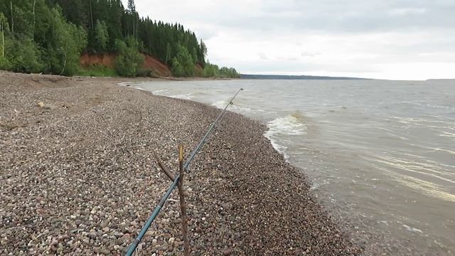 Рыбалка на фидер (пружинку)