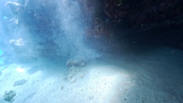 Renaissance пещеры дайвинг