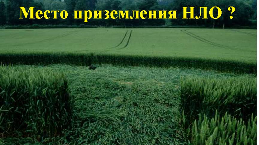 НЛО. Место приземления? Гудворт Клатфорд, Хэмпшир, 29.06.1993г.! НЛО.7