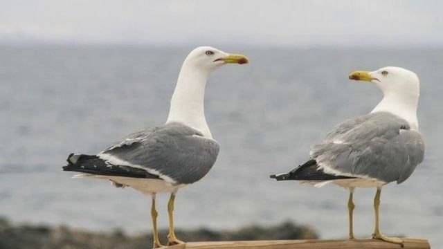 Приезжайте в Магадан!