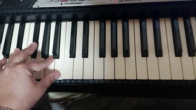 Родина Трофимов на синтезаторе