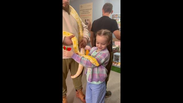 Навыки Герда Пугачева