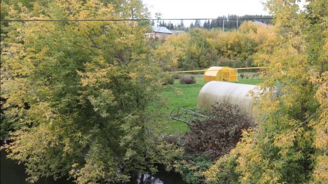 фотопоэтические этюды "Осенние мотивы"
