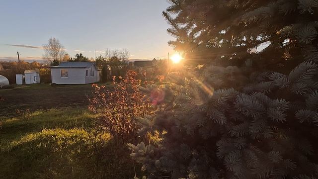 20251012 Дачный обзор =Осенний вечер=