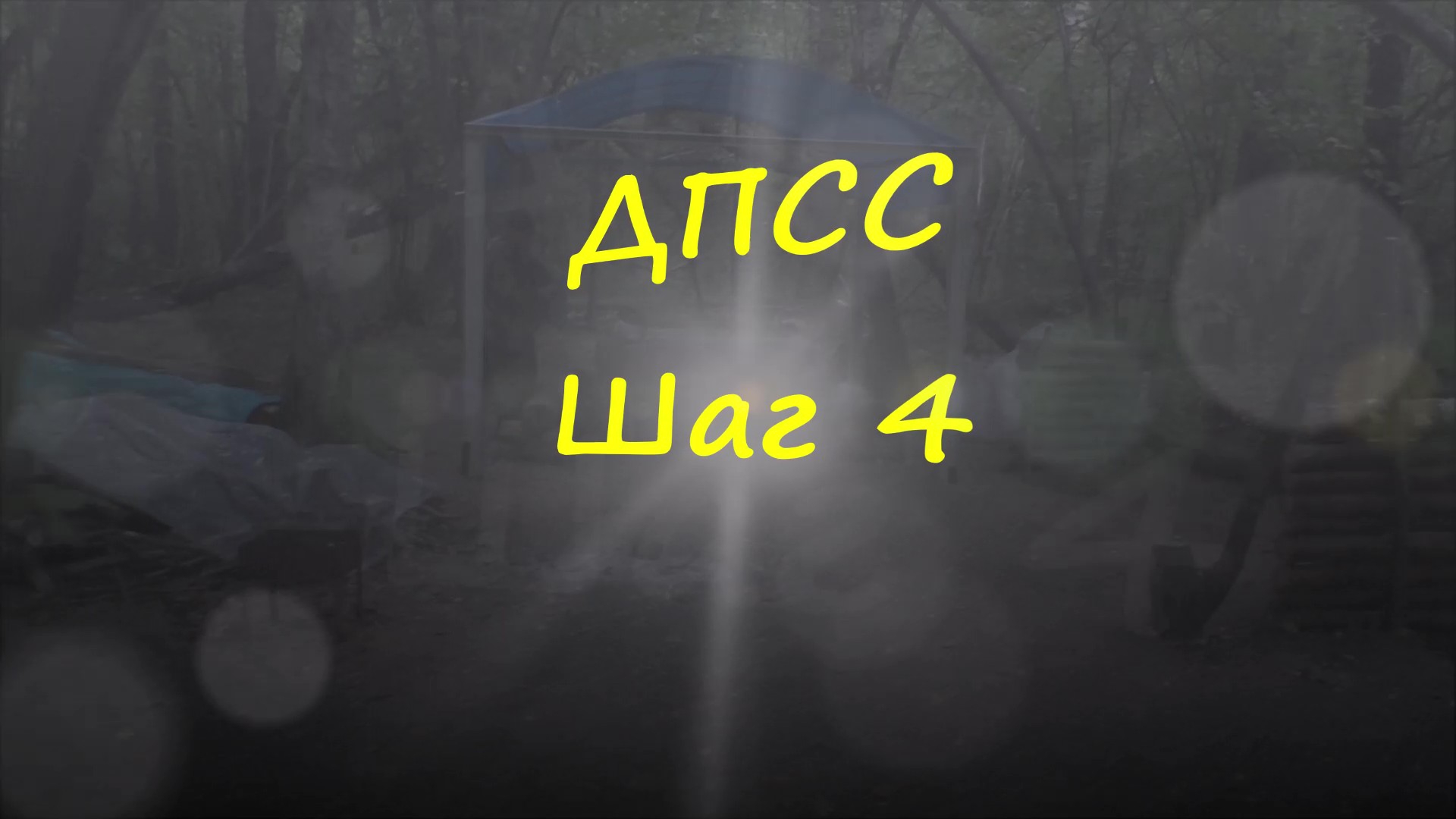 ДПСС. Шаг 4