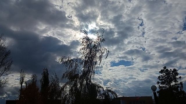 золотая осень в парке 15-10-2025