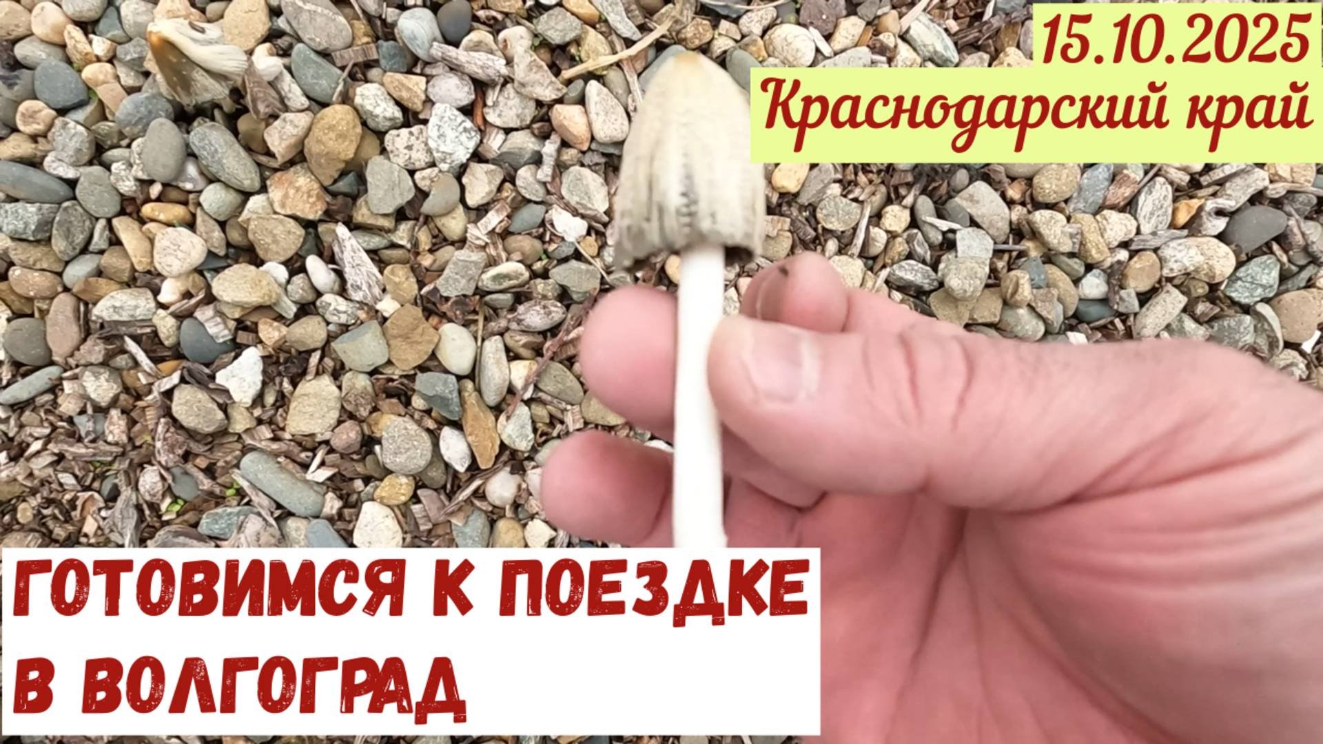 Отпуск. Готовимся к поездке в Волгоград(15.10.2025)