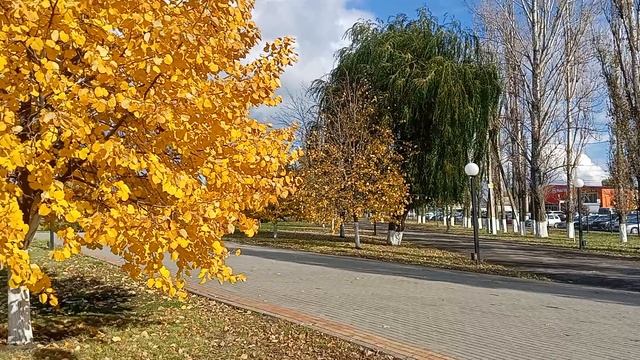 Золотая осень!