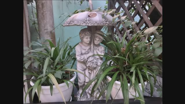 Живём в Адлере в гостинице Ашота и Натальи.Купаемся в море.Гуляем по Набережной и городу.