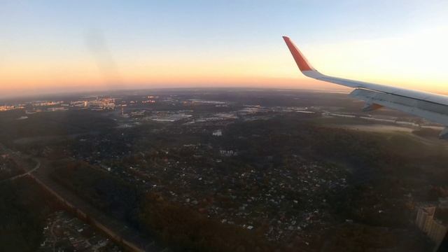 Посадка с цветом золота