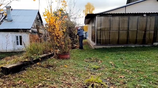 Ужасное Медицинское обслуживание! Домашние заботы. Калужская область