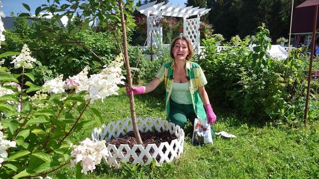 Сад мечты. Выпуск 24