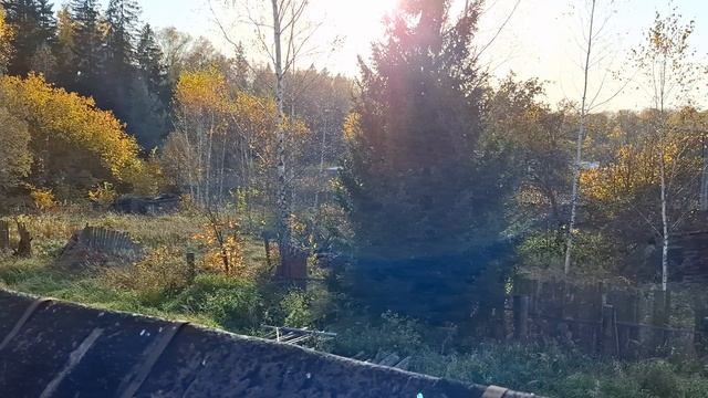 Вид на участок с крыши дома.