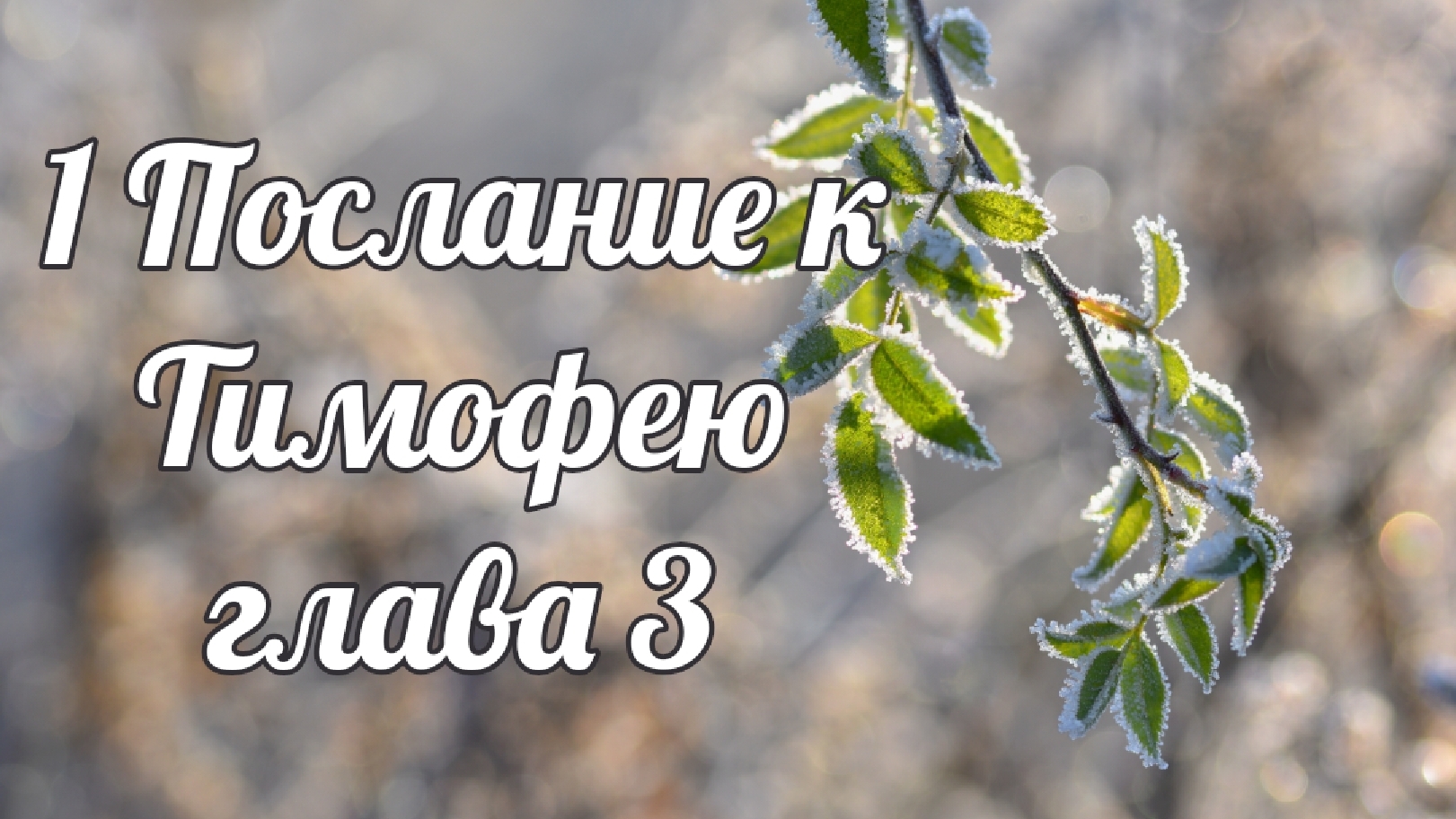 1 Послание к Тимофею глава 3