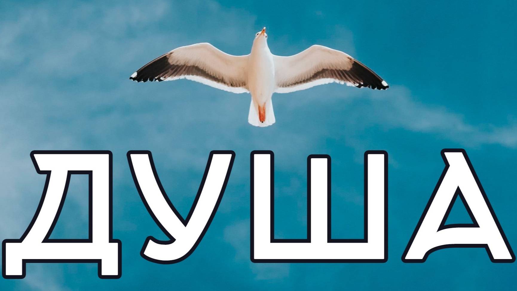 ДУША. Божественная песня и красивый клип! Песни для души