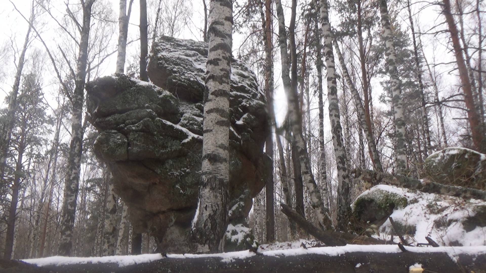 Не спорить с собой а идти в лес.