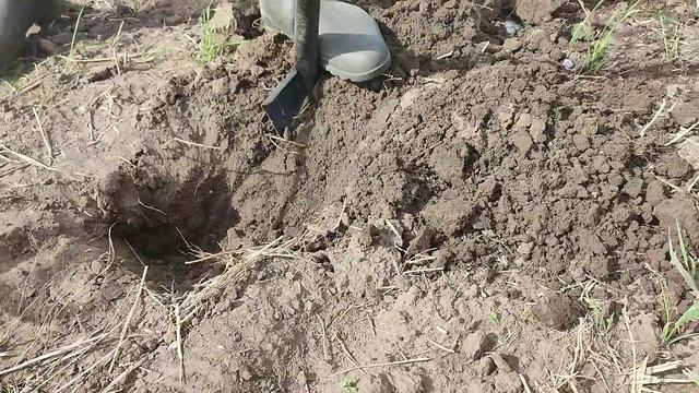 Металлопоиск