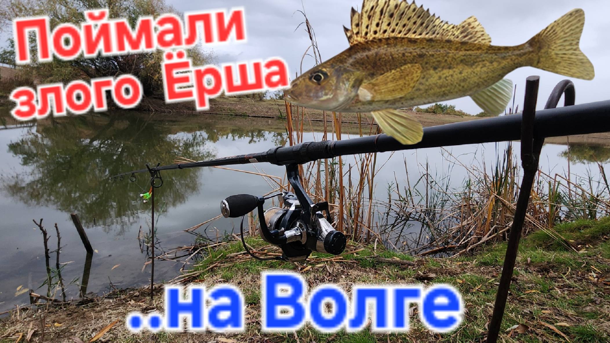 🔥Дёрнули Злого ЁРШИКА⚡️ на Волге ⚡️ нашли череп Птеродактиля 🔥 Рыбалка - Октябрь-2025 !!