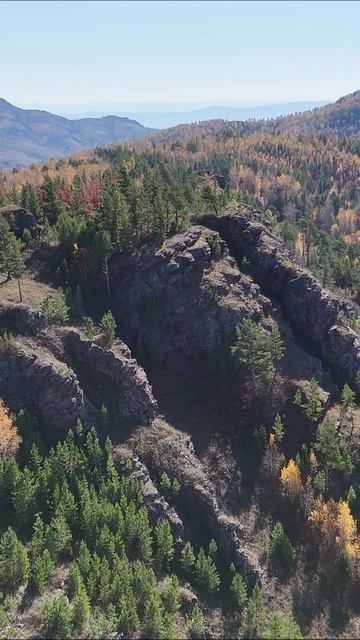 Полное видео здесь: https://rutube.ru/video/28d82ce8f40e7fc280d5d42455257b3d/